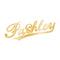 Pashley Script Decal